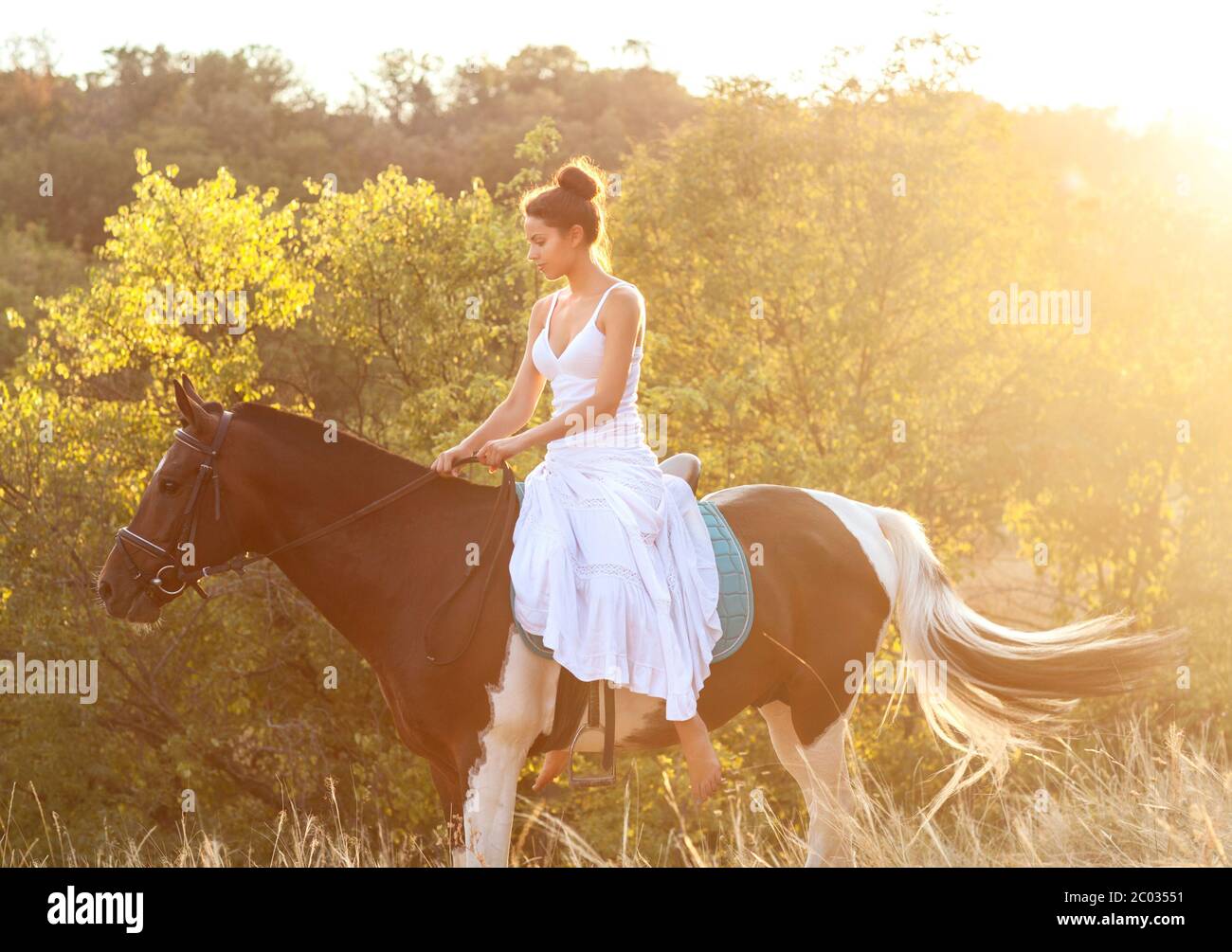 Beautiful woman riding on a horse Stock Photo - Alamy