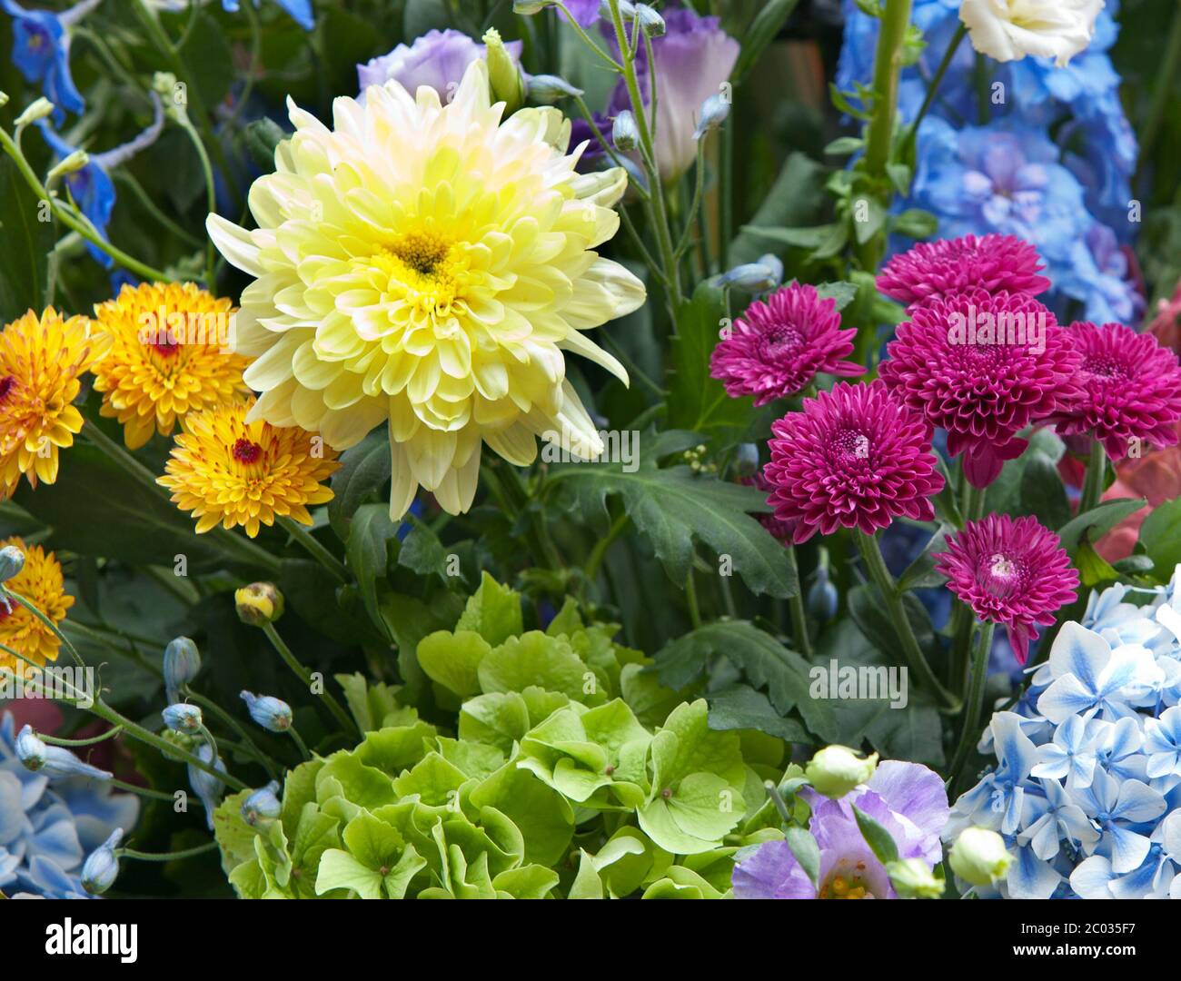 Bright flower bouquet hi-res stock photography and images - Alamy