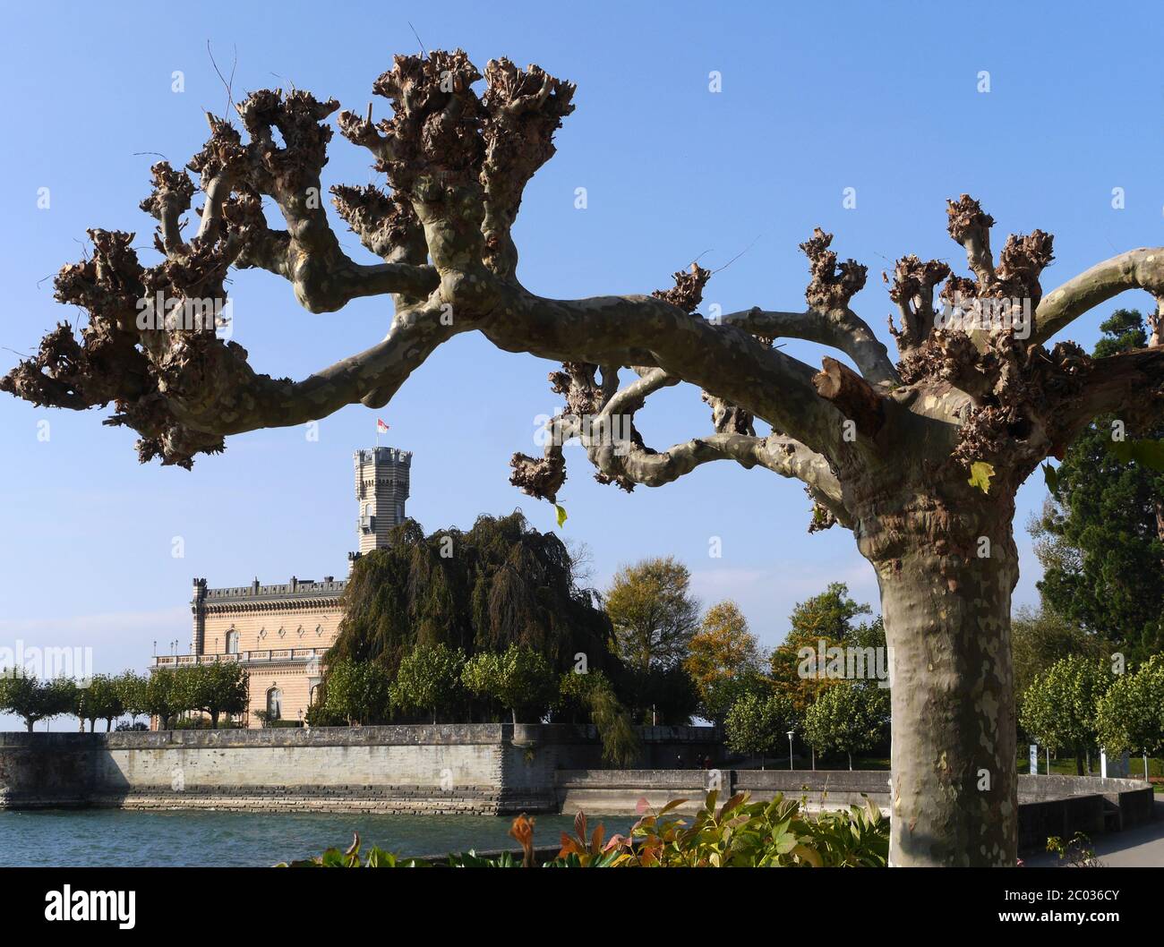 Montfort castle hi-res stock photography and images - Alamy