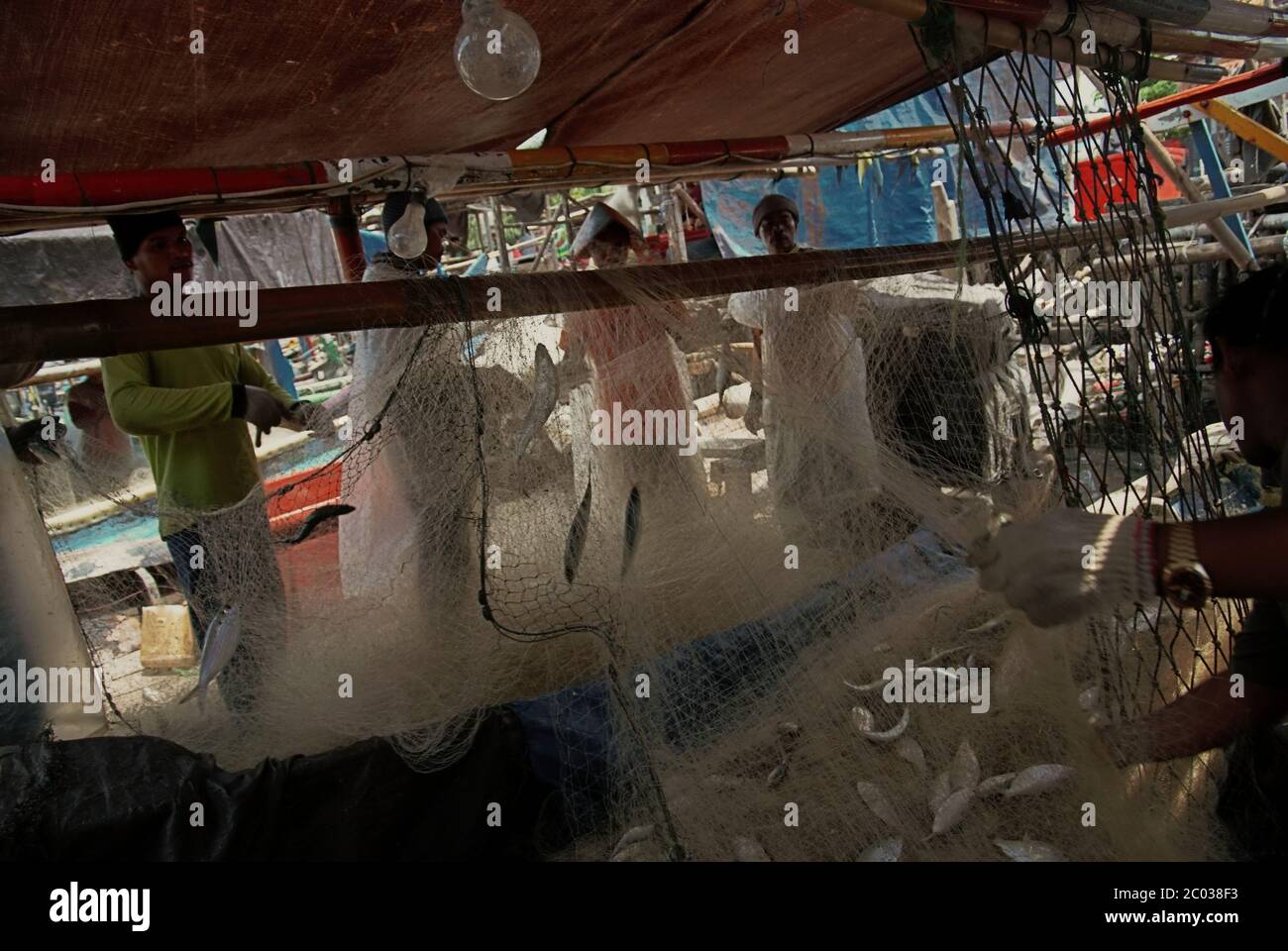 Fishermen collecting the caught fishes out of a trawl net on a boat ...