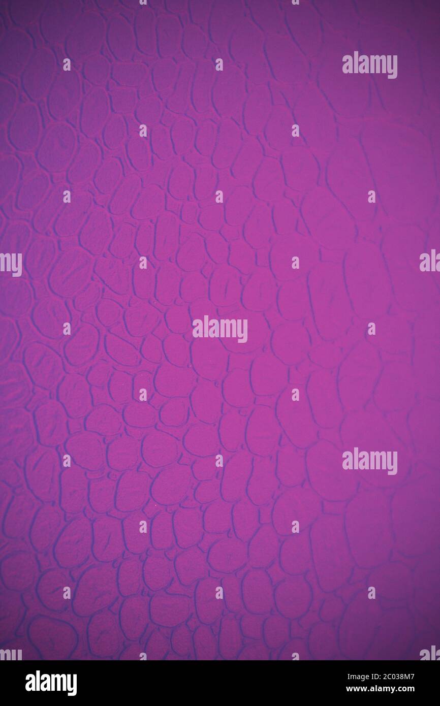 MAUVE TEXTURE BACKGROUND GOR FRAPHIC DESIGN Stock Photo - Alamy