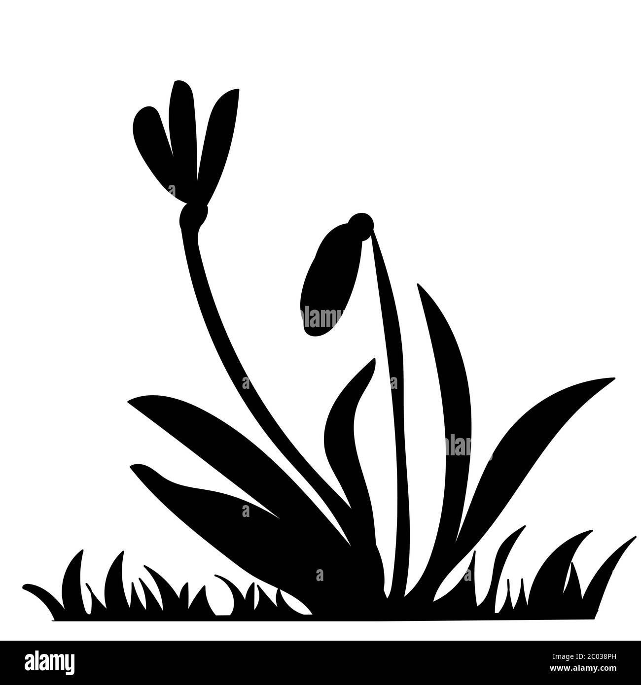 black silhouette of a snowdrop Stock Vector Image & Art - Alamy