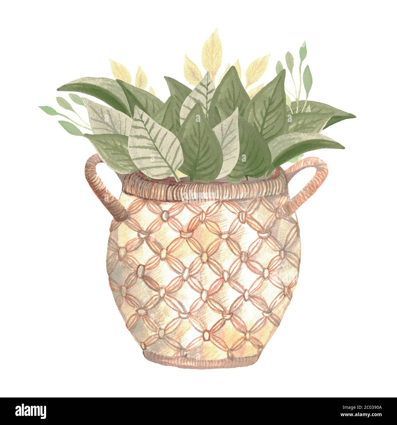 Boho style houseplant in a basket. Watercolor hand-painted cozy house ...