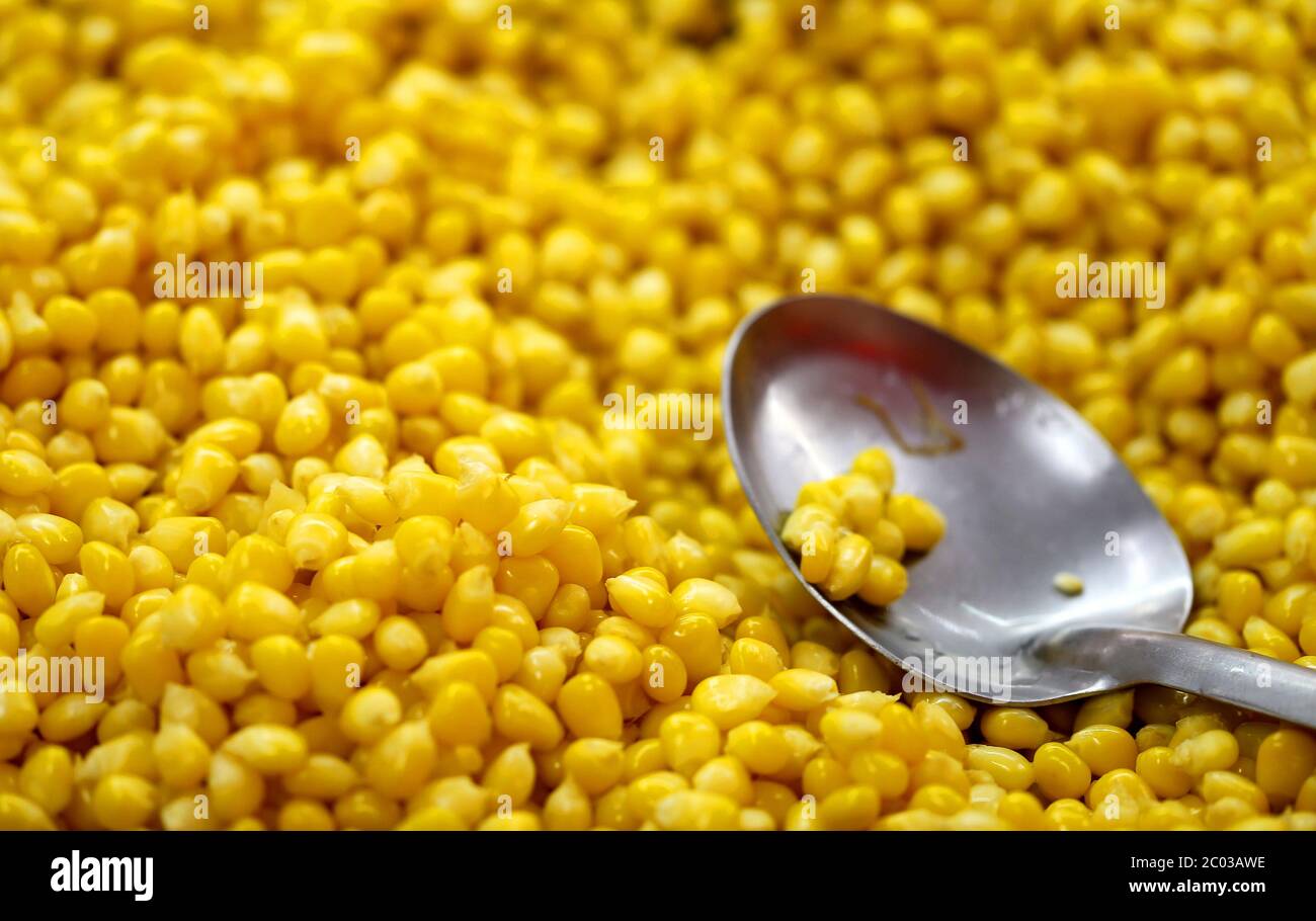 Yellow corn hi-res stock photography and images - Alamy