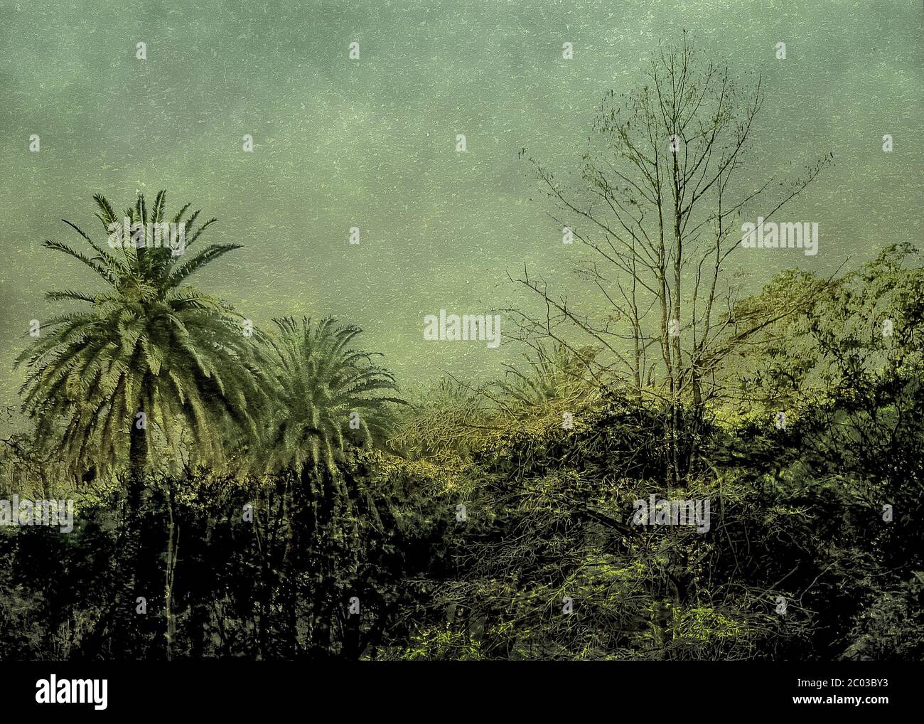 Nature Scene Grunge Vintage Style Photo Stock Photo - Alamy