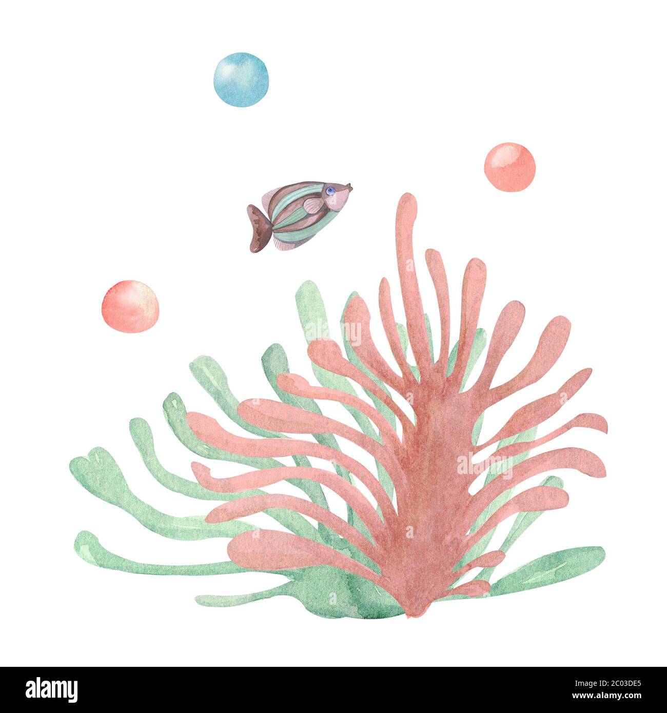 Hand-painted composition of sea corals brown green on a white ...