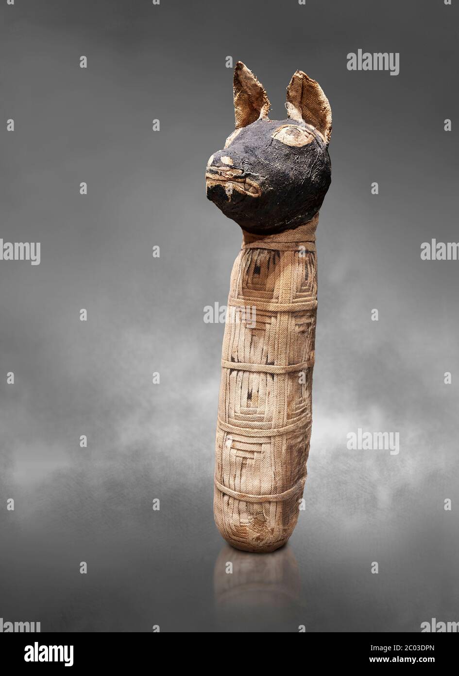 Ancient Egyptian mummy of a canid, linen, Late Period, Ptolomaic Perios ...