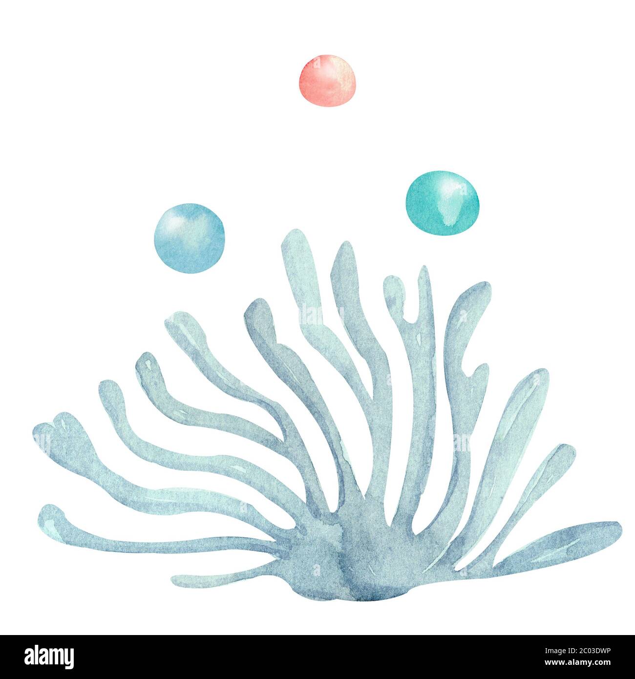 Hand-painted composition of blue sea corals on a white background ...