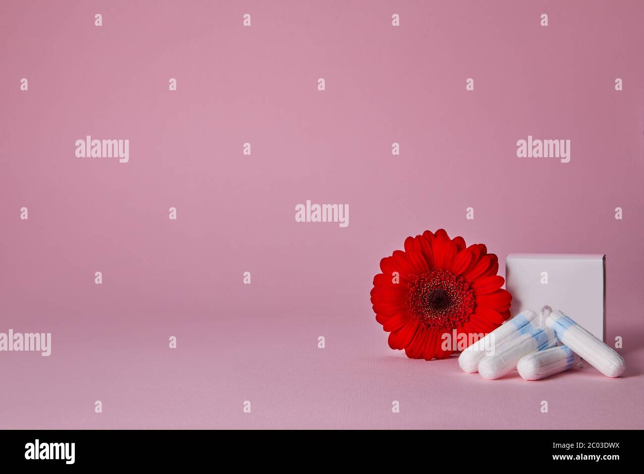 menstrual sanitary cotton tampons, box for tampons and red flower on ...