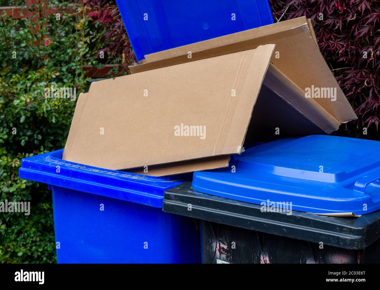 Blue bin with waste paper Stock Photo - Alamy