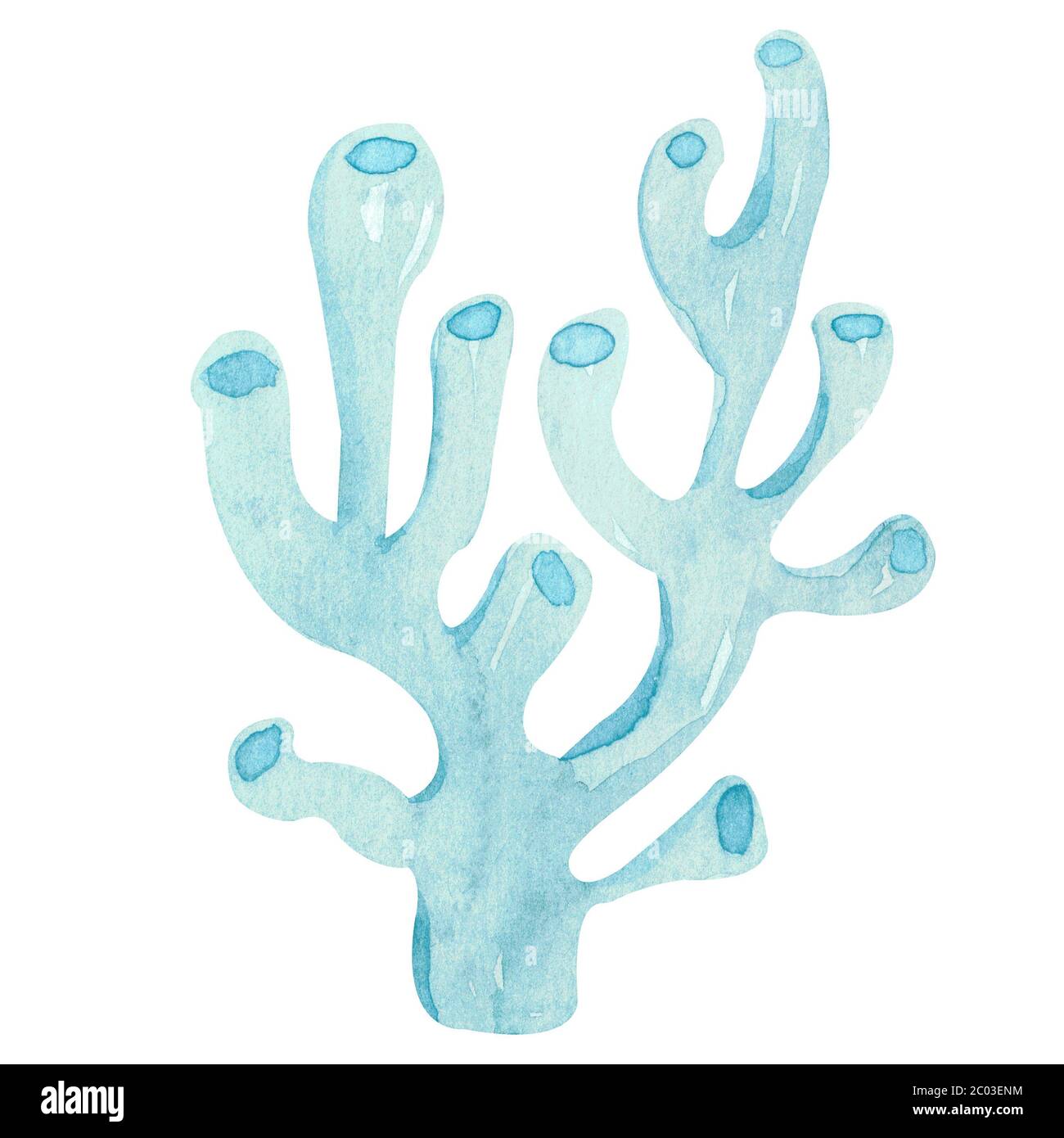 Hand-painted composition of blue sea corals on a white background ...