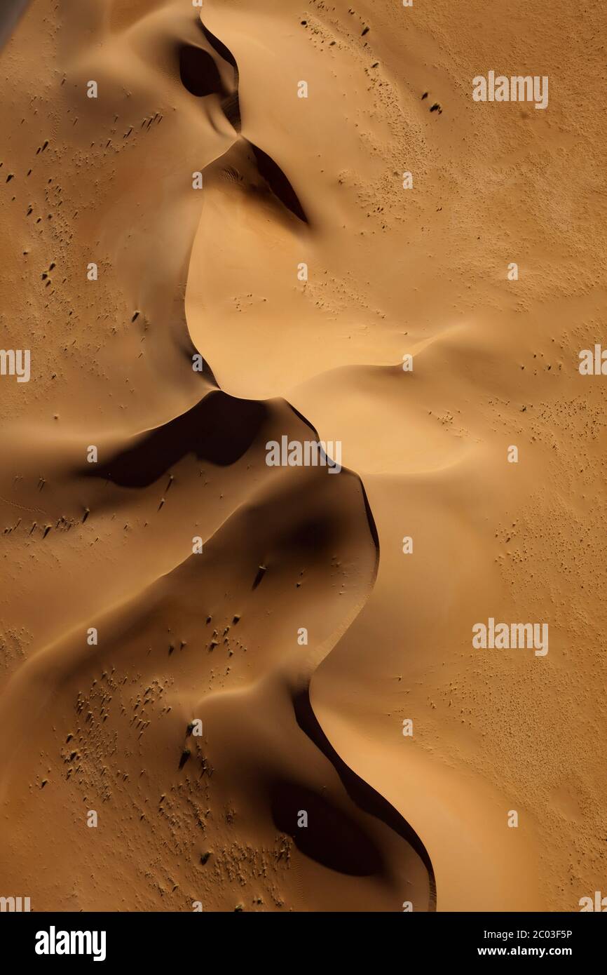 Sand dunes in the Sahara desert, North Africa Stock Photo - Alamy