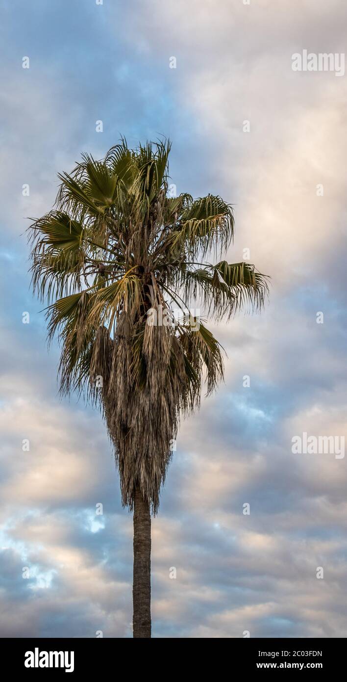 Winter weather during June 2020 as a cold front weather system moves in ...