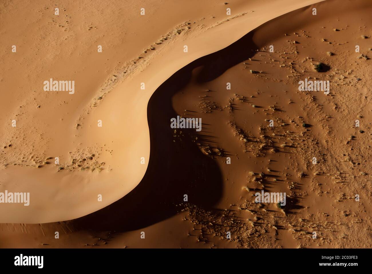 Sand dunes in the Sahara desert, North Africa Stock Photo - Alamy