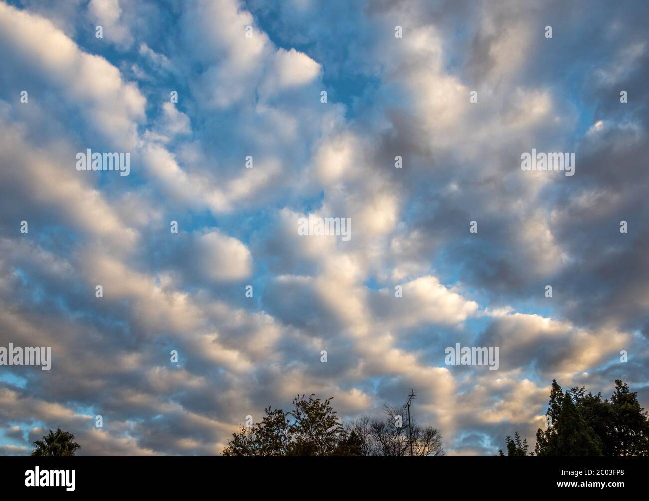 Winter weather during June 2020 as a cold front weather system moves in ...