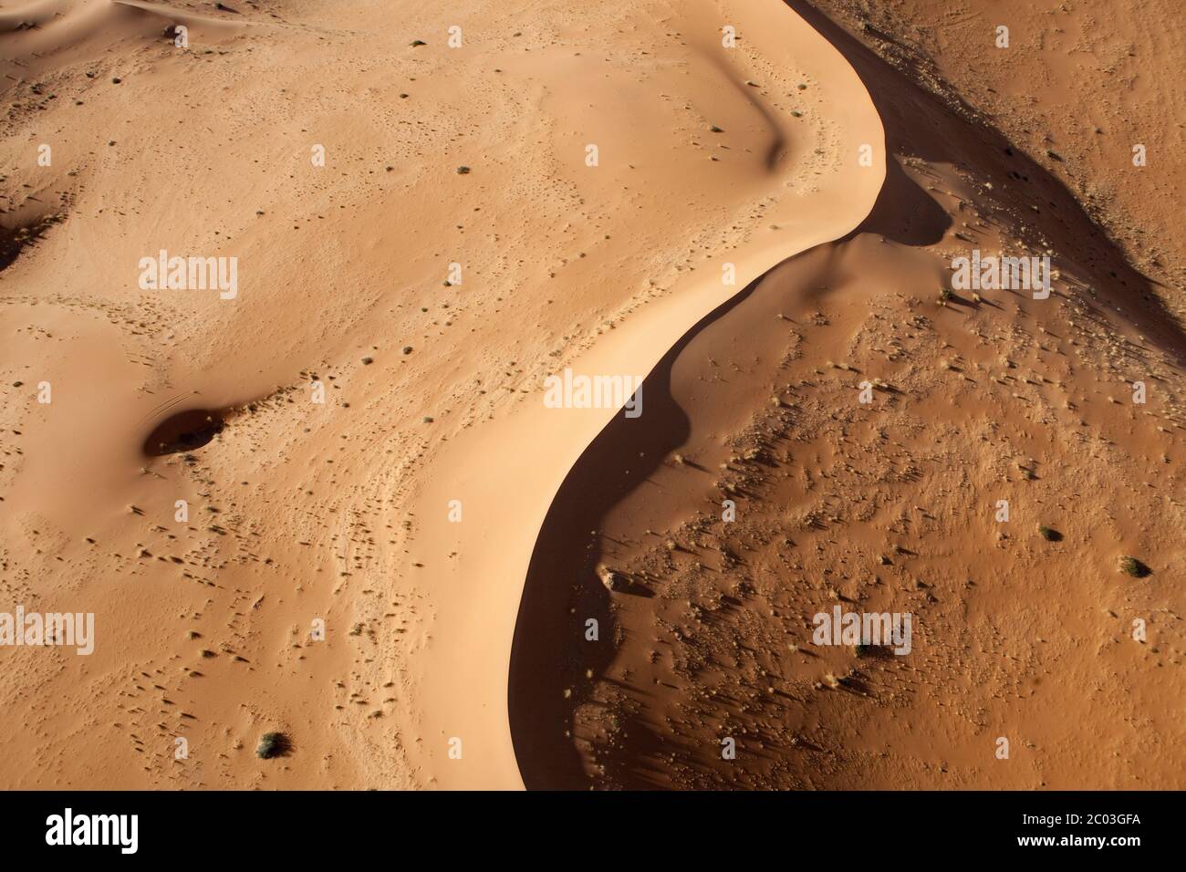 Sand dunes in the Sahara desert, North Africa Stock Photo - Alamy