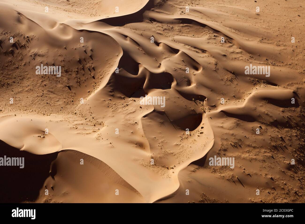 Sand dunes in the Sahara desert, North Africa Stock Photo - Alamy