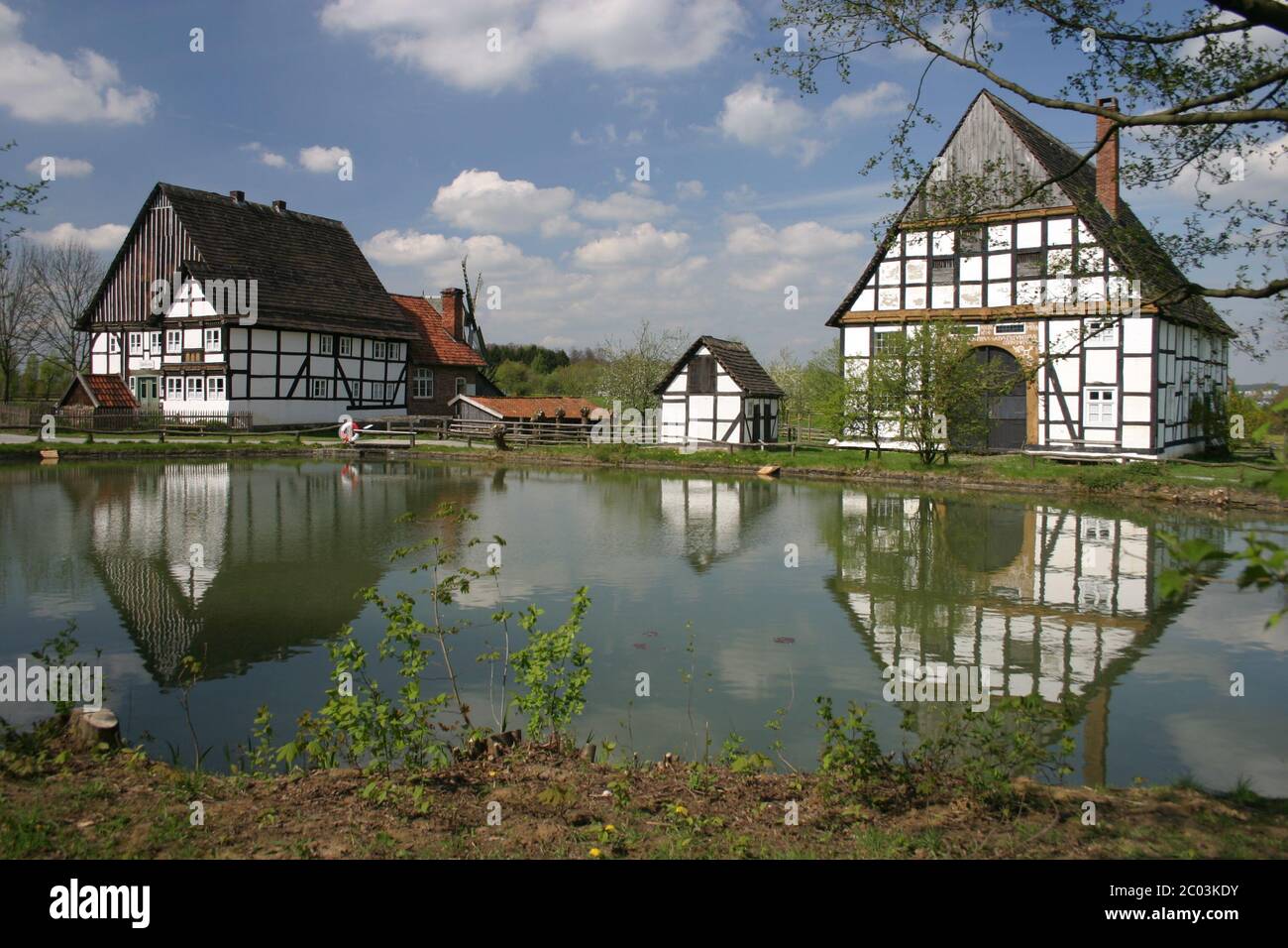 Rural idyll with village pond Stock Photo - Alamy