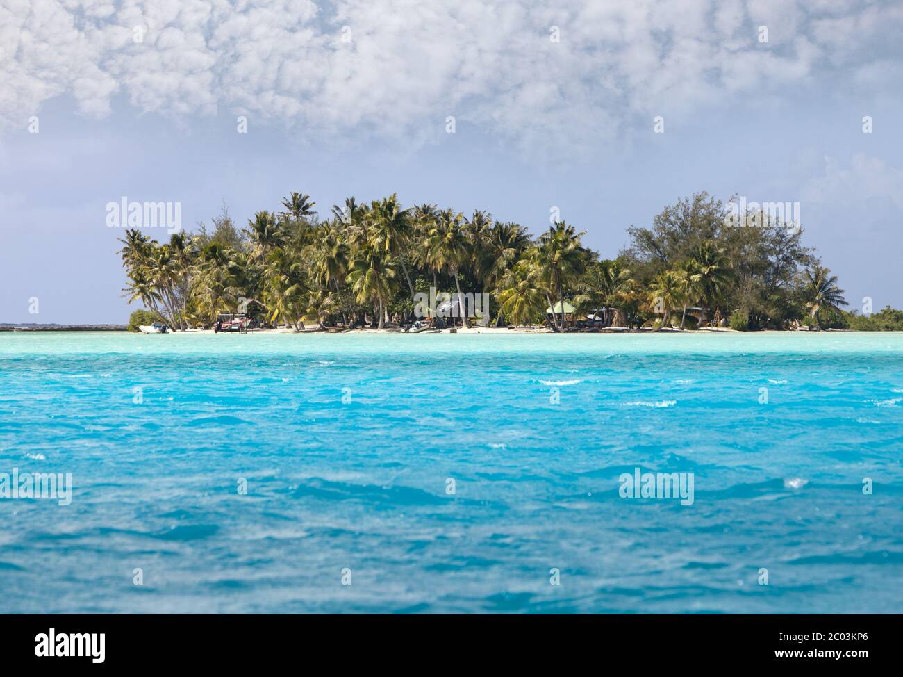 Trees on hill caribbean hi-res stock photography and images - Alamy