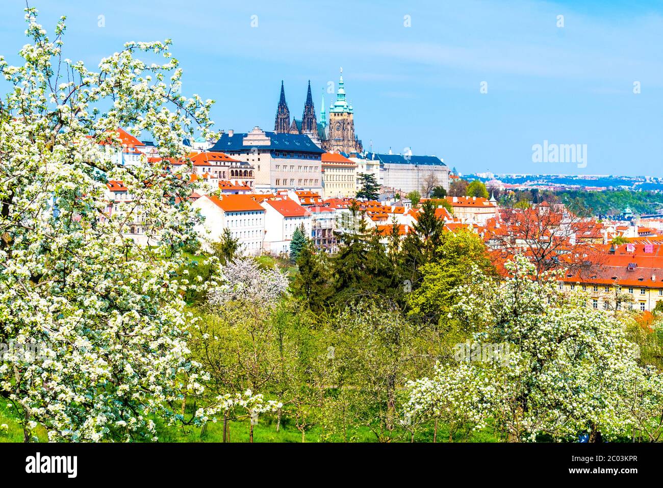 Spring in Prague. Blooming trees and lush greenery in Strahov Gardens ...