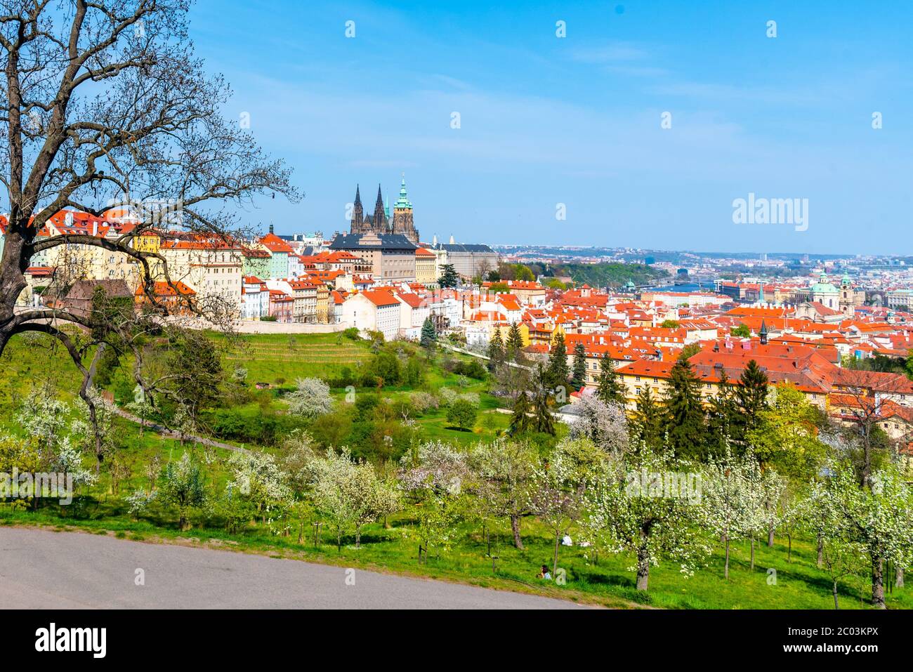 Spring in Prague. Blooming trees and lush greenery in Strahov Gardens ...