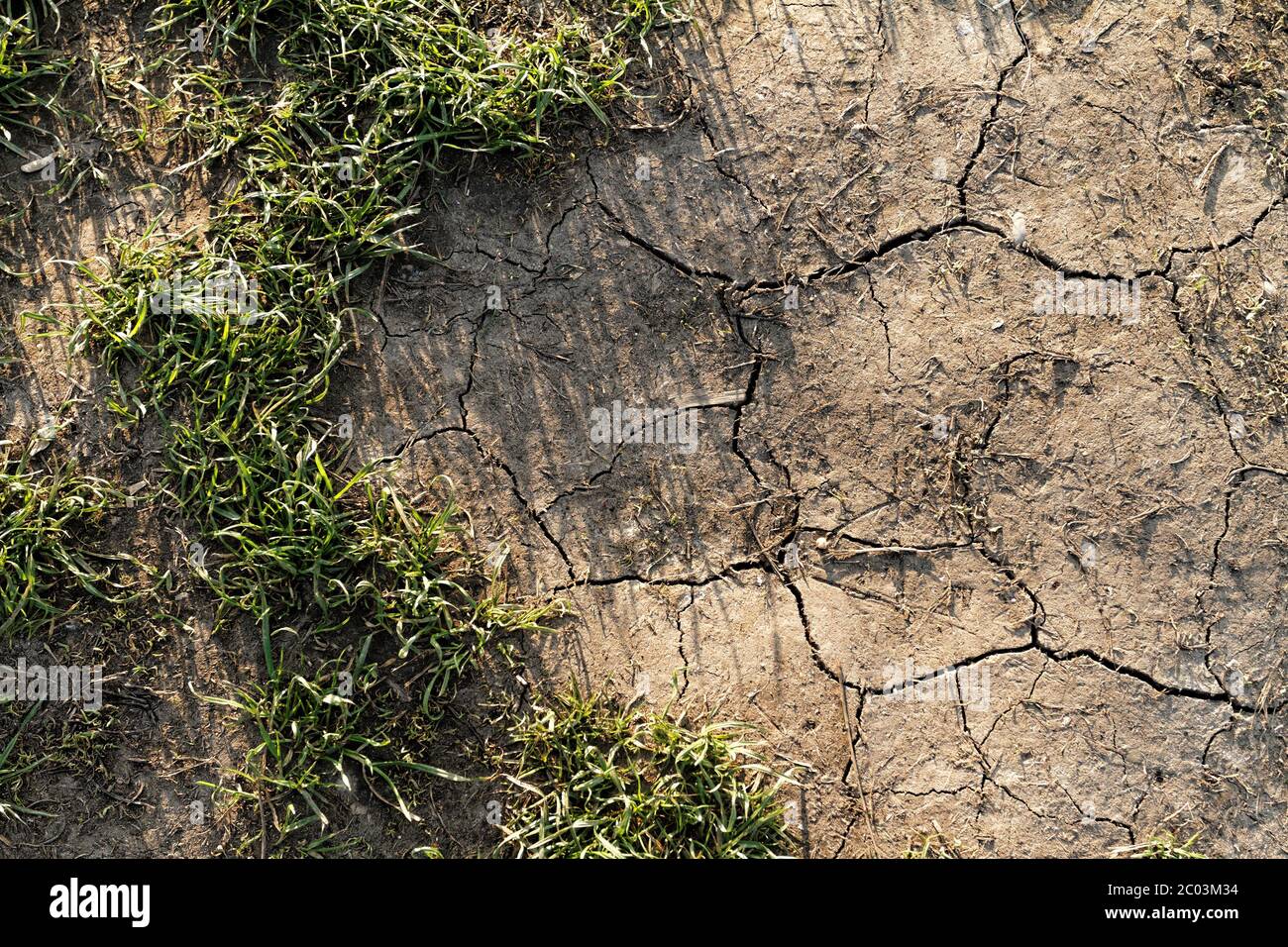 Parched land hi-res stock photography and images - Alamy