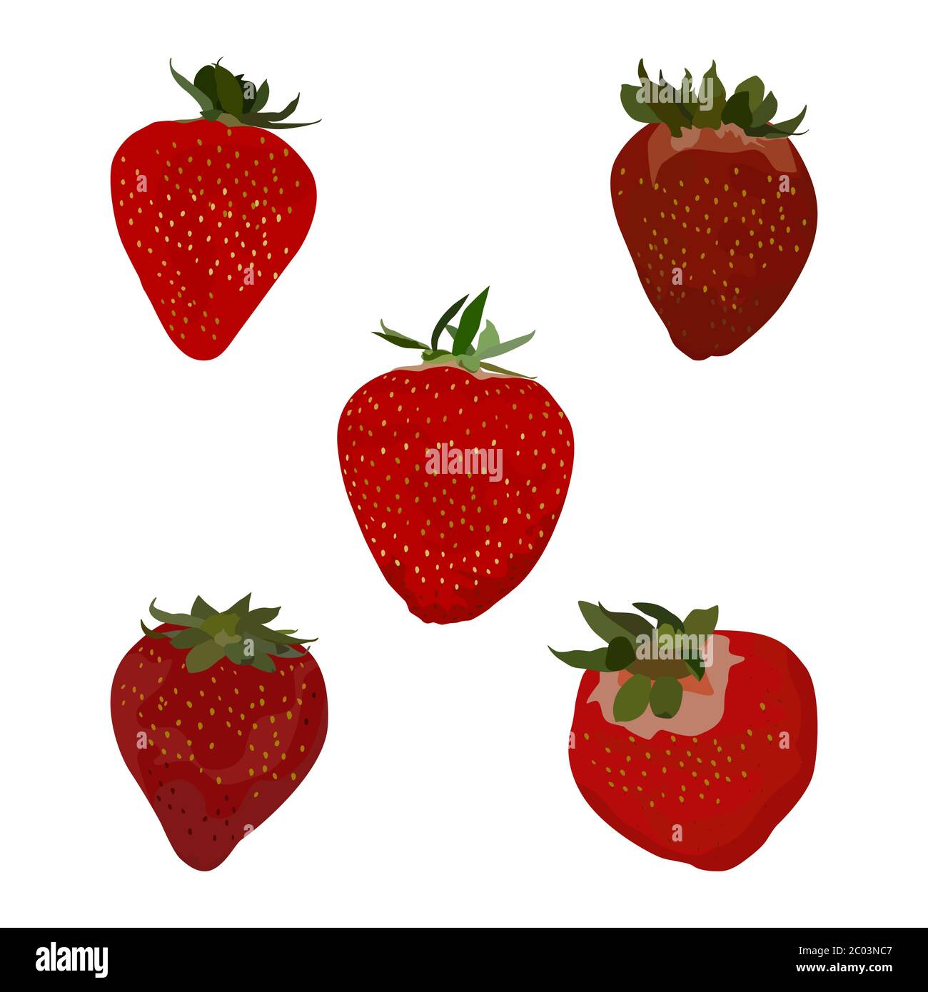 Ripe fresh strawberry set, vector flat isolated illustration Stock ...
