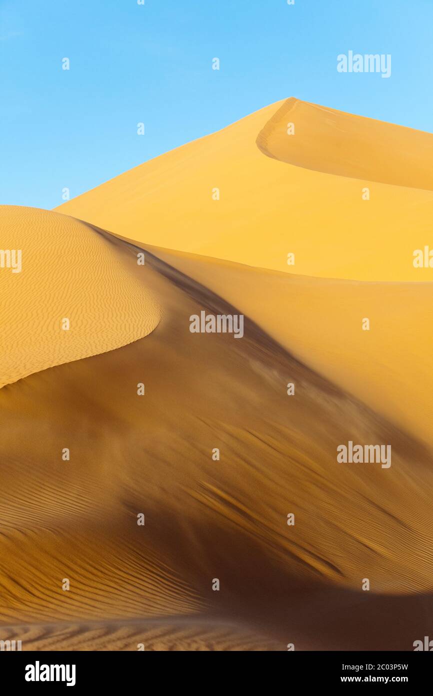 A strong wind lifts sand over the edge of a large dune. Sand dunes in ...