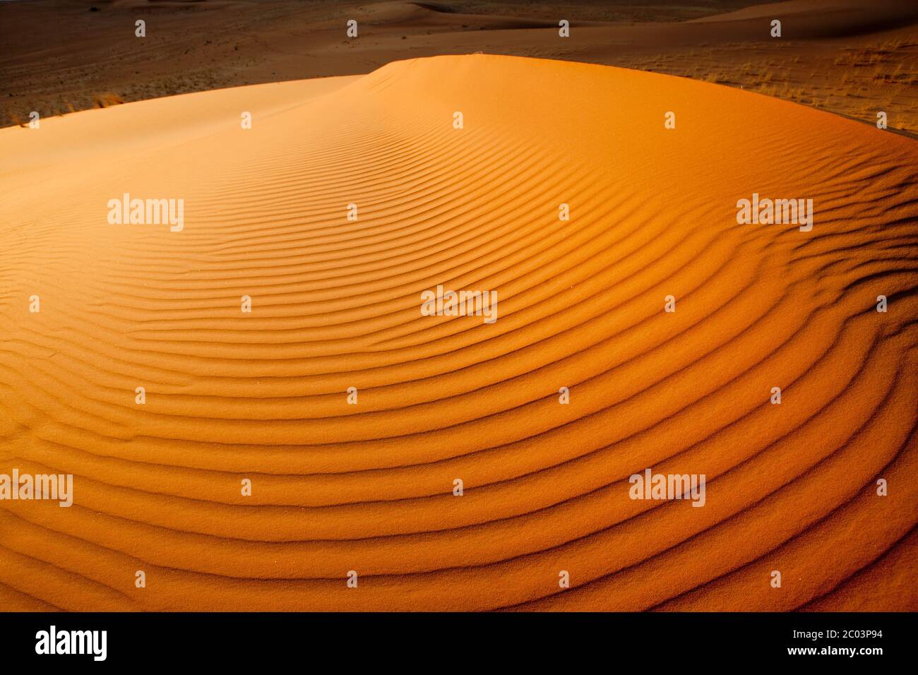 Sand dunes in the Sahara desert, North Africa Stock Photo - Alamy