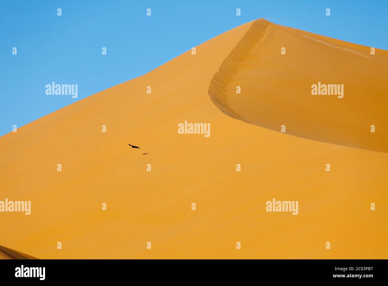 Sand dunes in the Sahara desert, North Africa Stock Photo - Alamy
