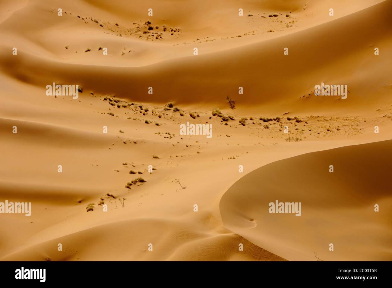Sand dunes in the Sahara desert, North Africa Stock Photo - Alamy