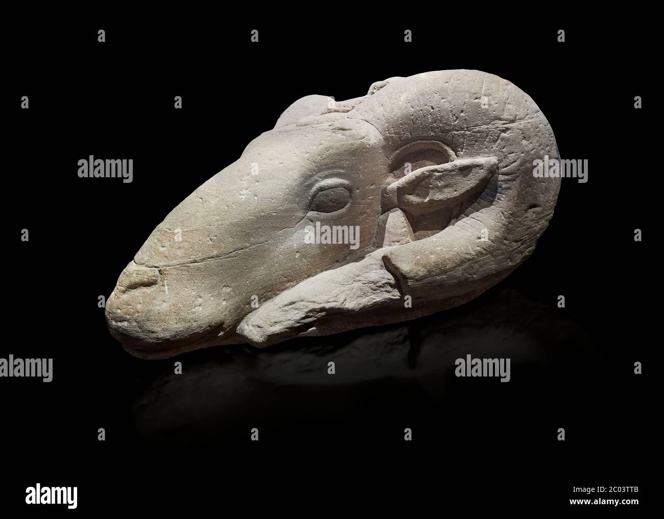 Ancient Egyptian sculpture of the head of a criosphinx, sandstone, New ...