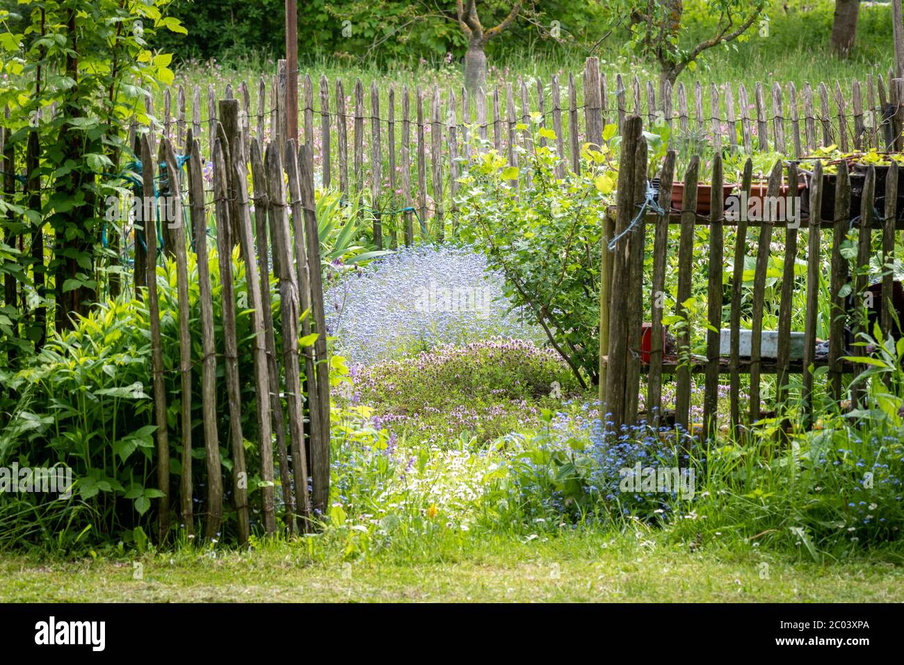 open garden door with view at flowers Stock Photo - Alamy