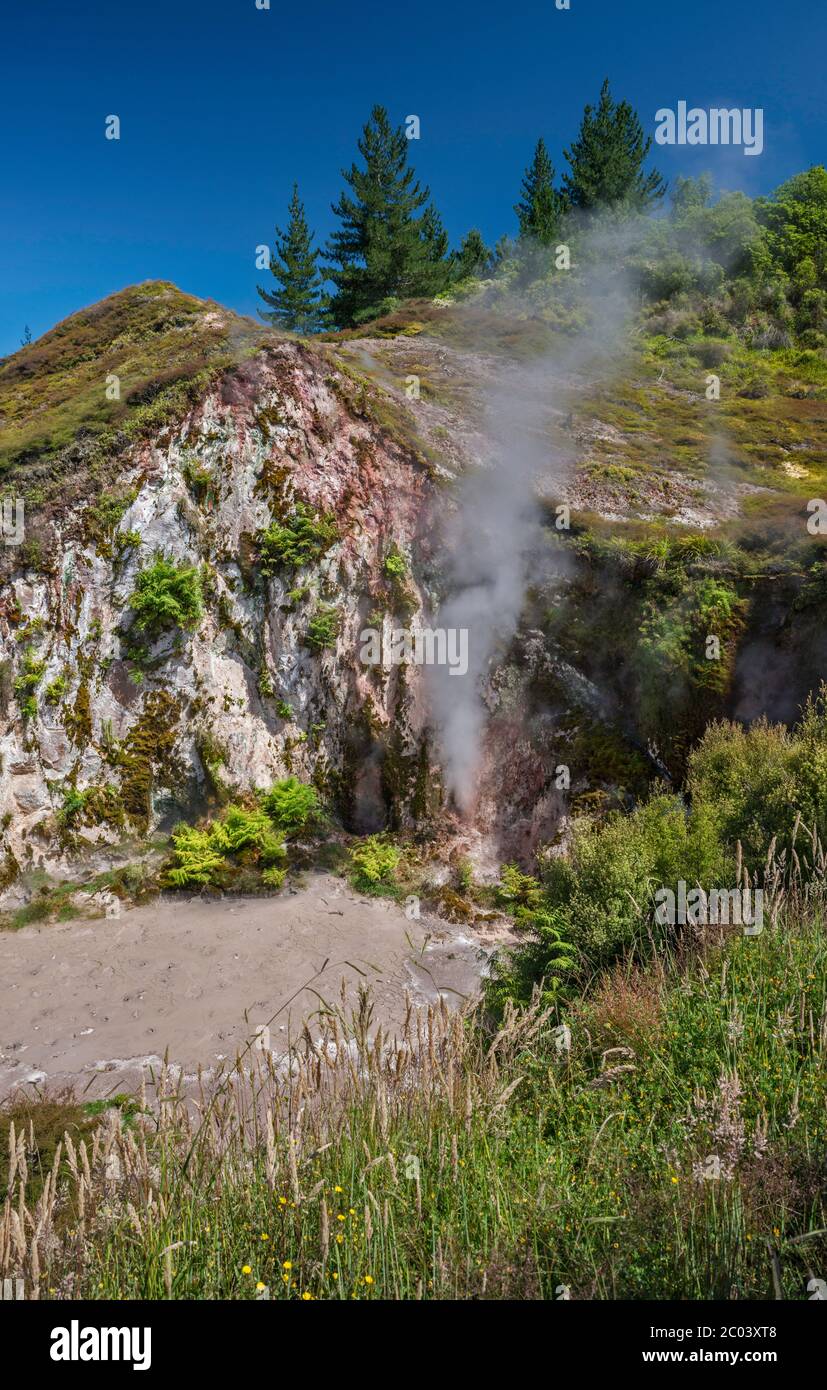 Thermal mud pool hi-res stock photography and images - Alamy