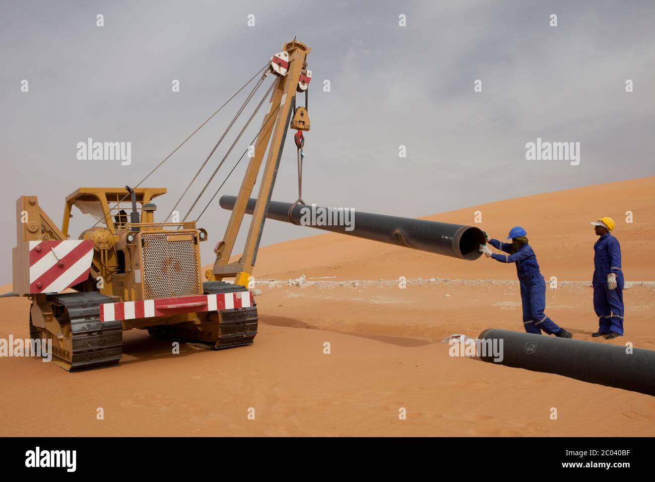 An oil company preparing to lay a pipeline in the Sahara desert to ...