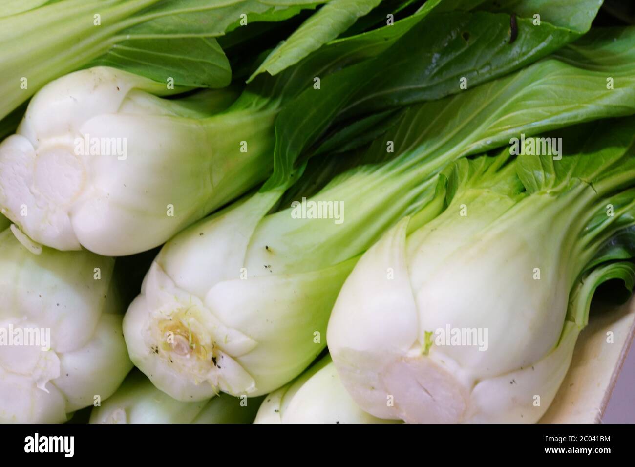 Pac choi hi-res stock photography and images - Alamy