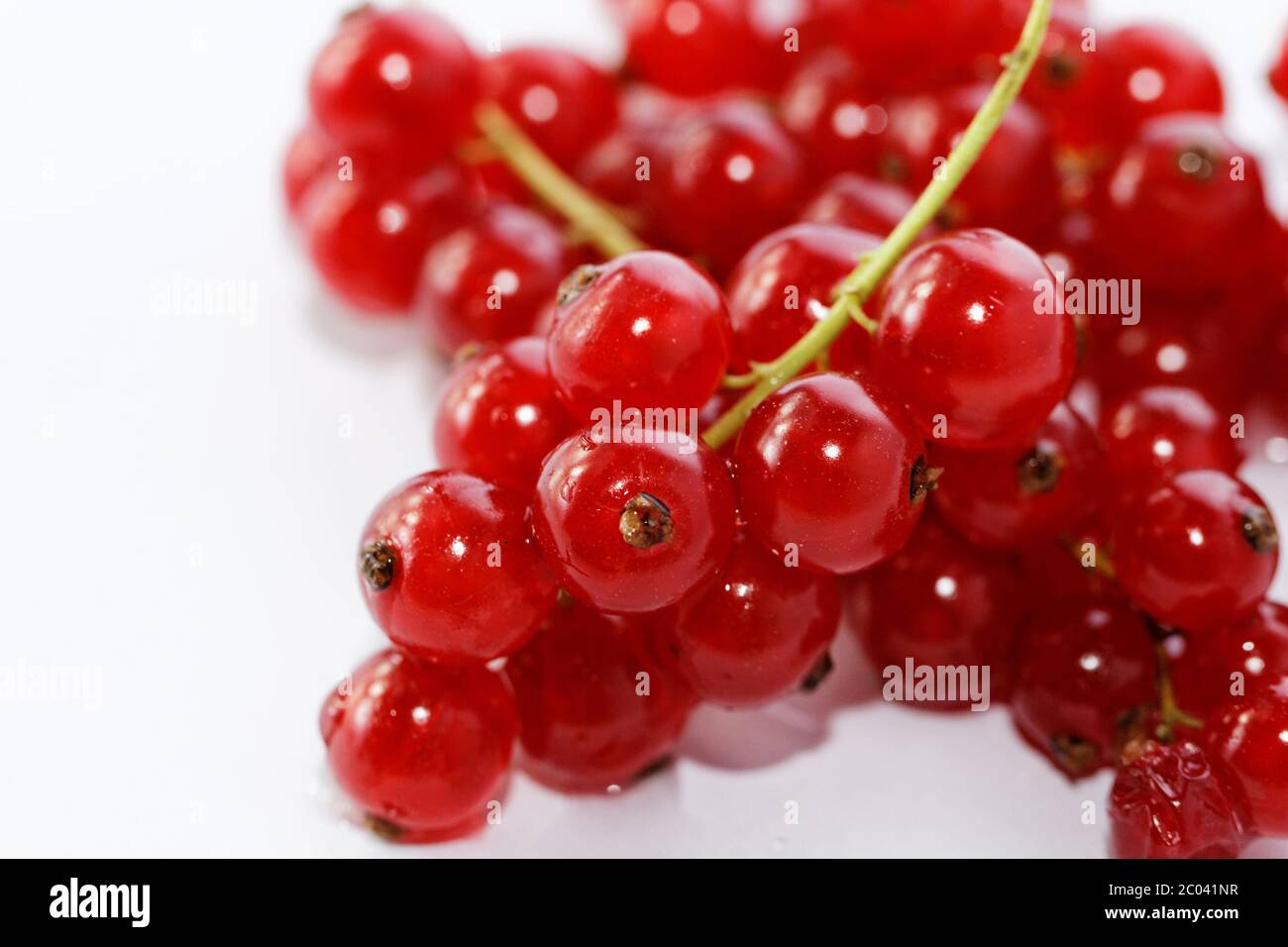 Red currant isolated on white background Stock Photo - Alamy