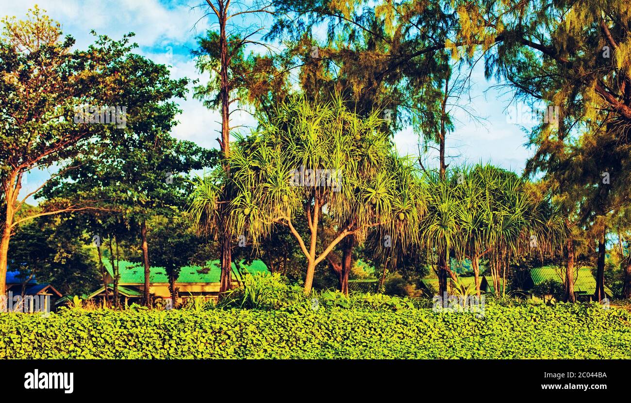 Thai garden landscape hi-res stock photography and images - Alamy