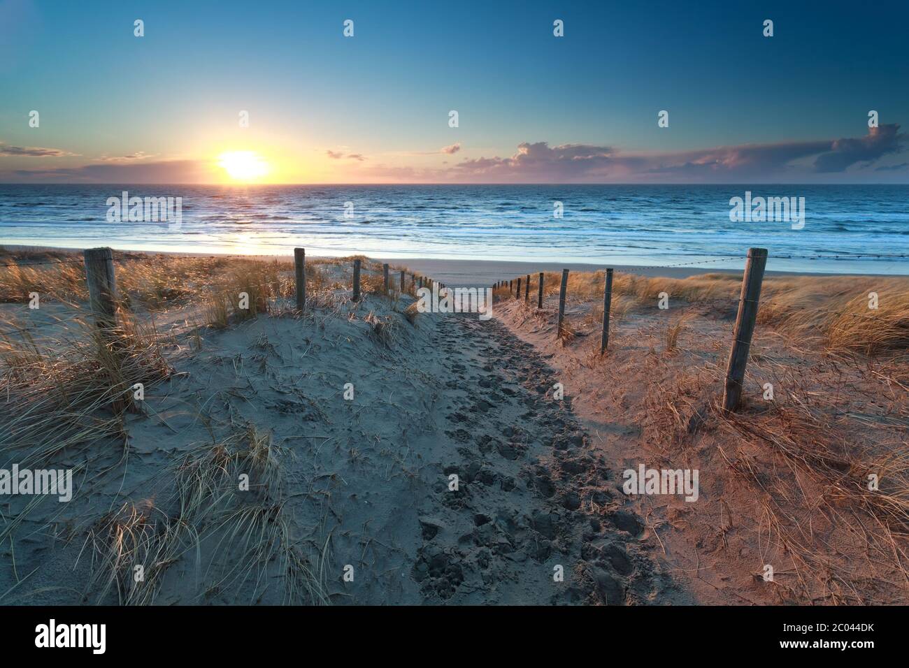 Sunlight path beach coast sea hi-res stock photography and images - Alamy