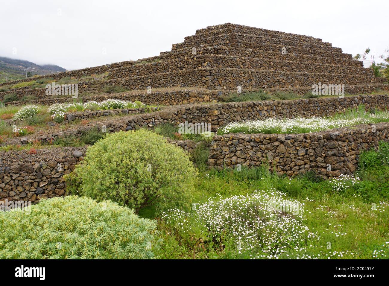 Pyramids of Güimar Stock Photo - Alamy