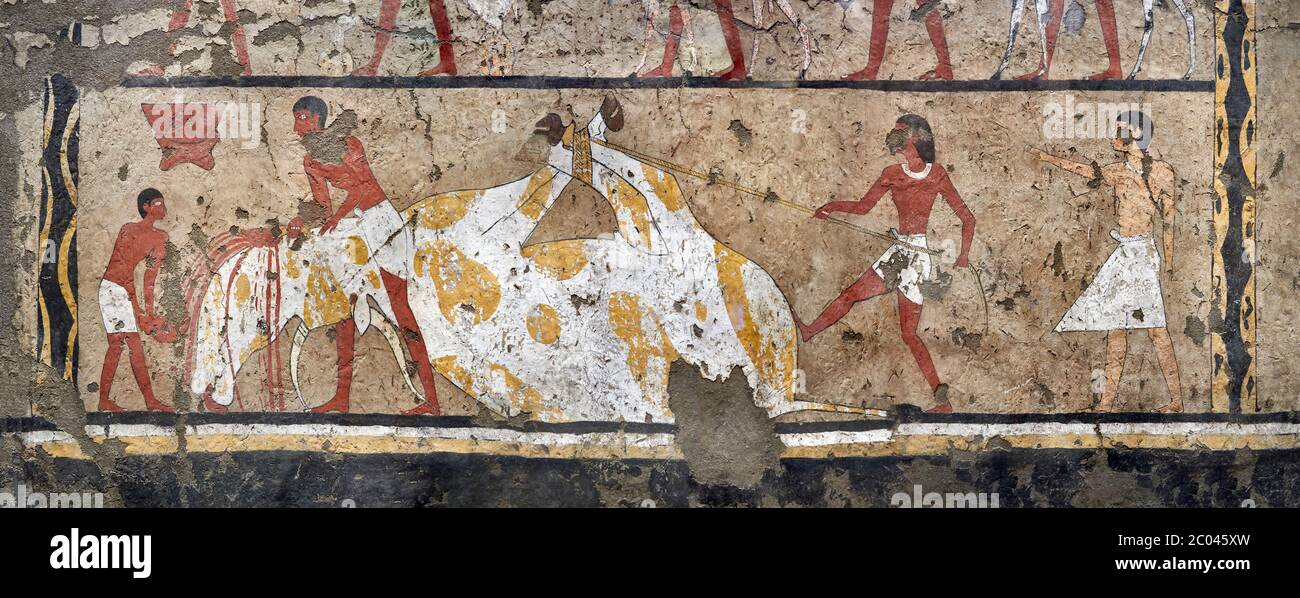 Ancient Egyptian wall paintings of the Tomb of Iti and Neferu, Ritual ...