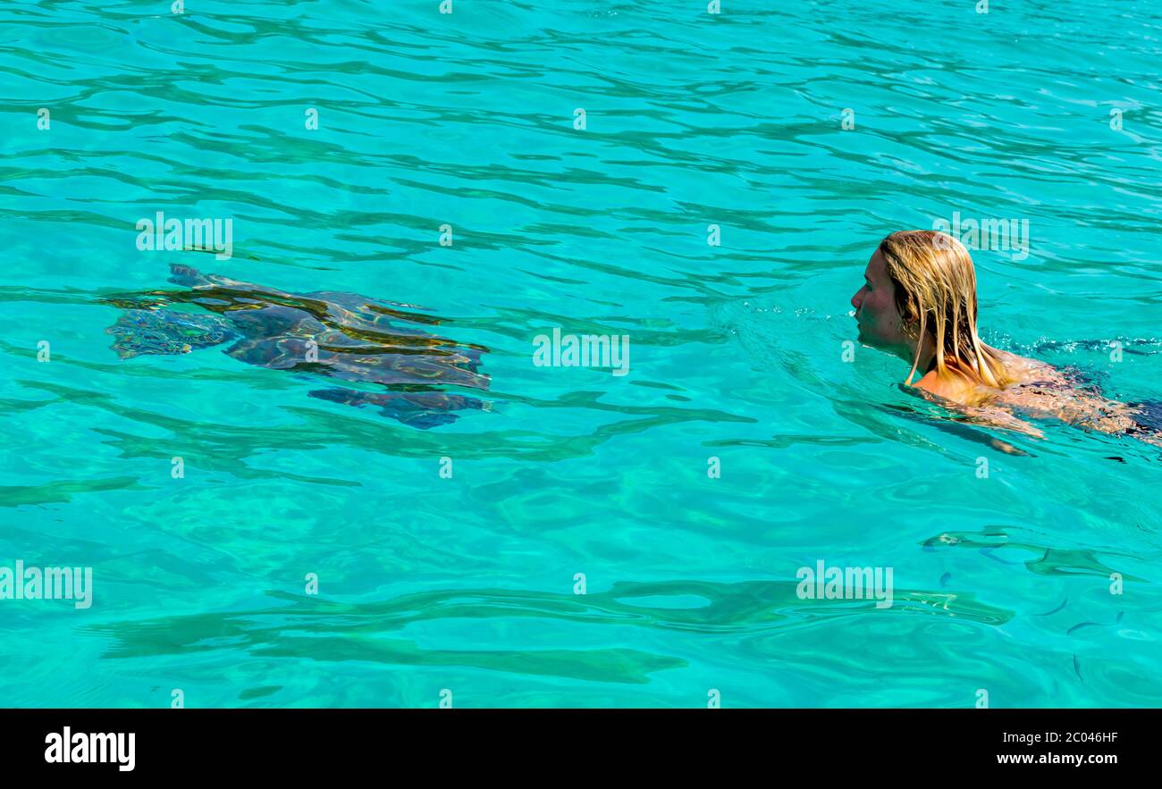 Redang Island, Malaysia; May-2019; Swimming with the turtles, Redang ...