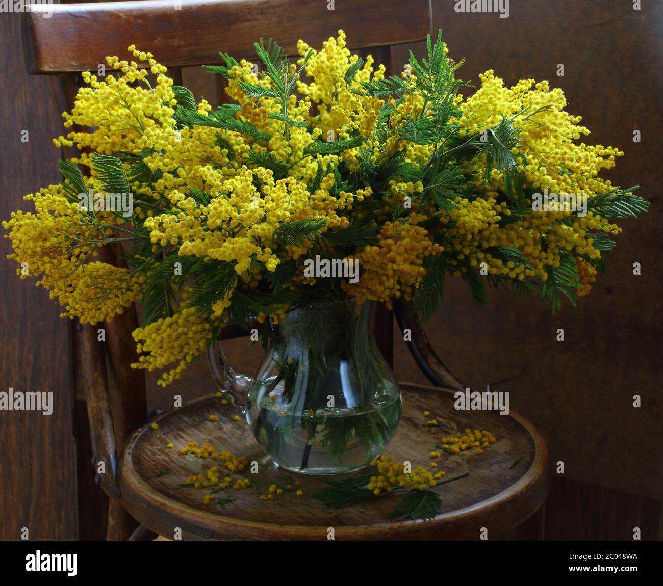 Mimosa bouquet hi-res stock photography and images - Alamy