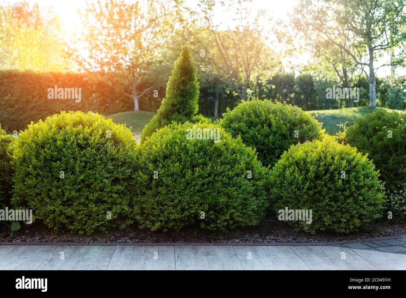 Boxwood front yard hi-res stock photography and images - Alamy