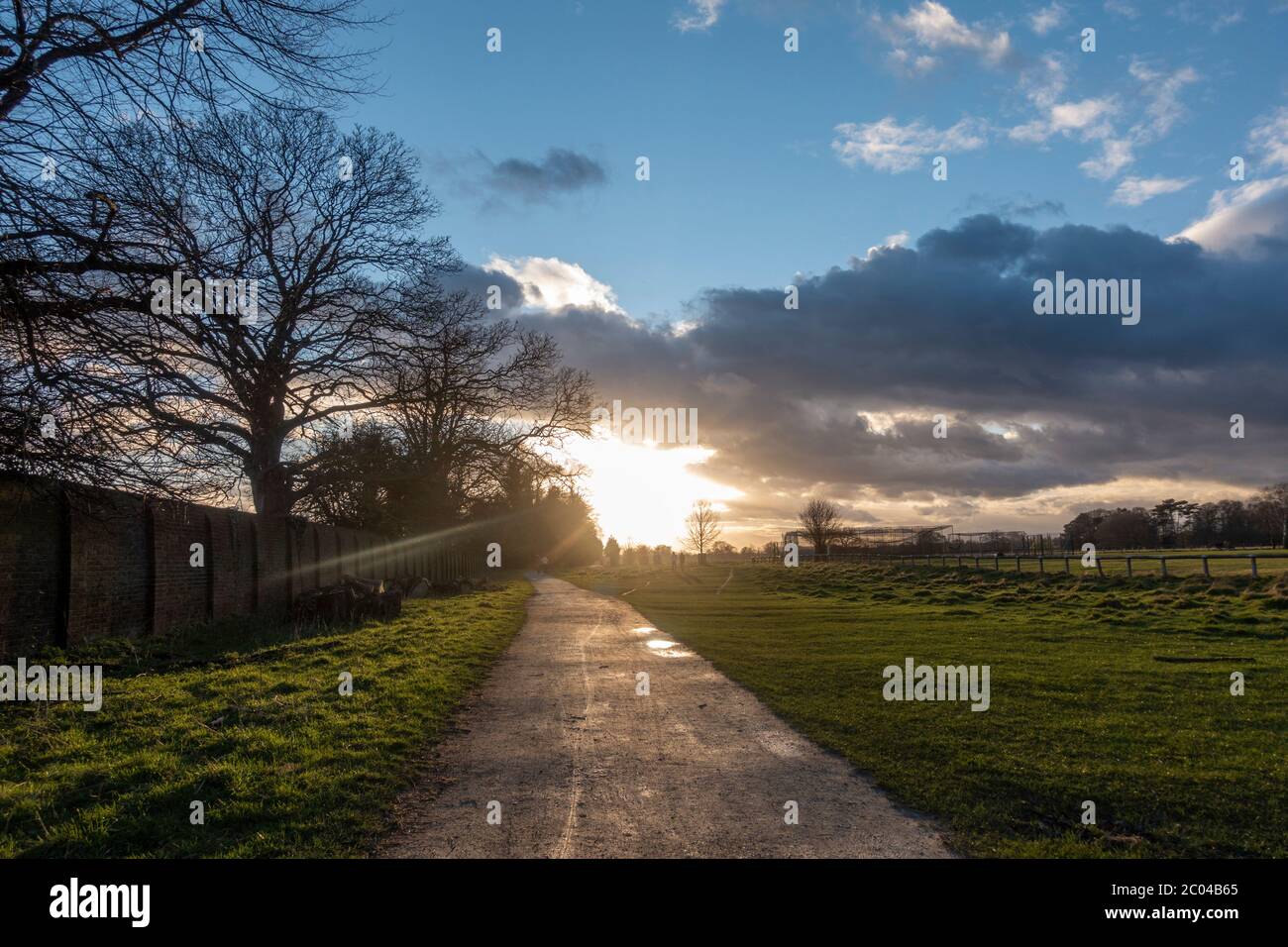 Sunset view along a path in Bushy Park, Richmond upon Thames, UK Stock ...