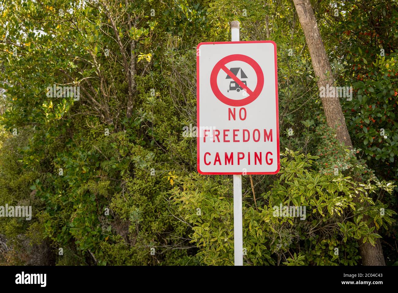 A no freedom camping sign in New Zealand Stock Photo - Alamy