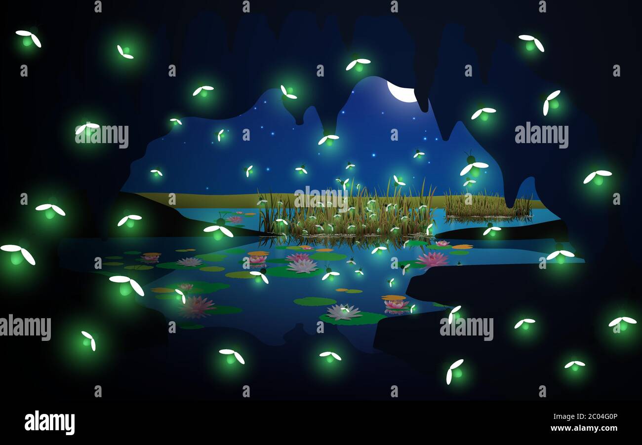 fireflies at the cave forest in the night Stock Vector Image & Art - Alamy