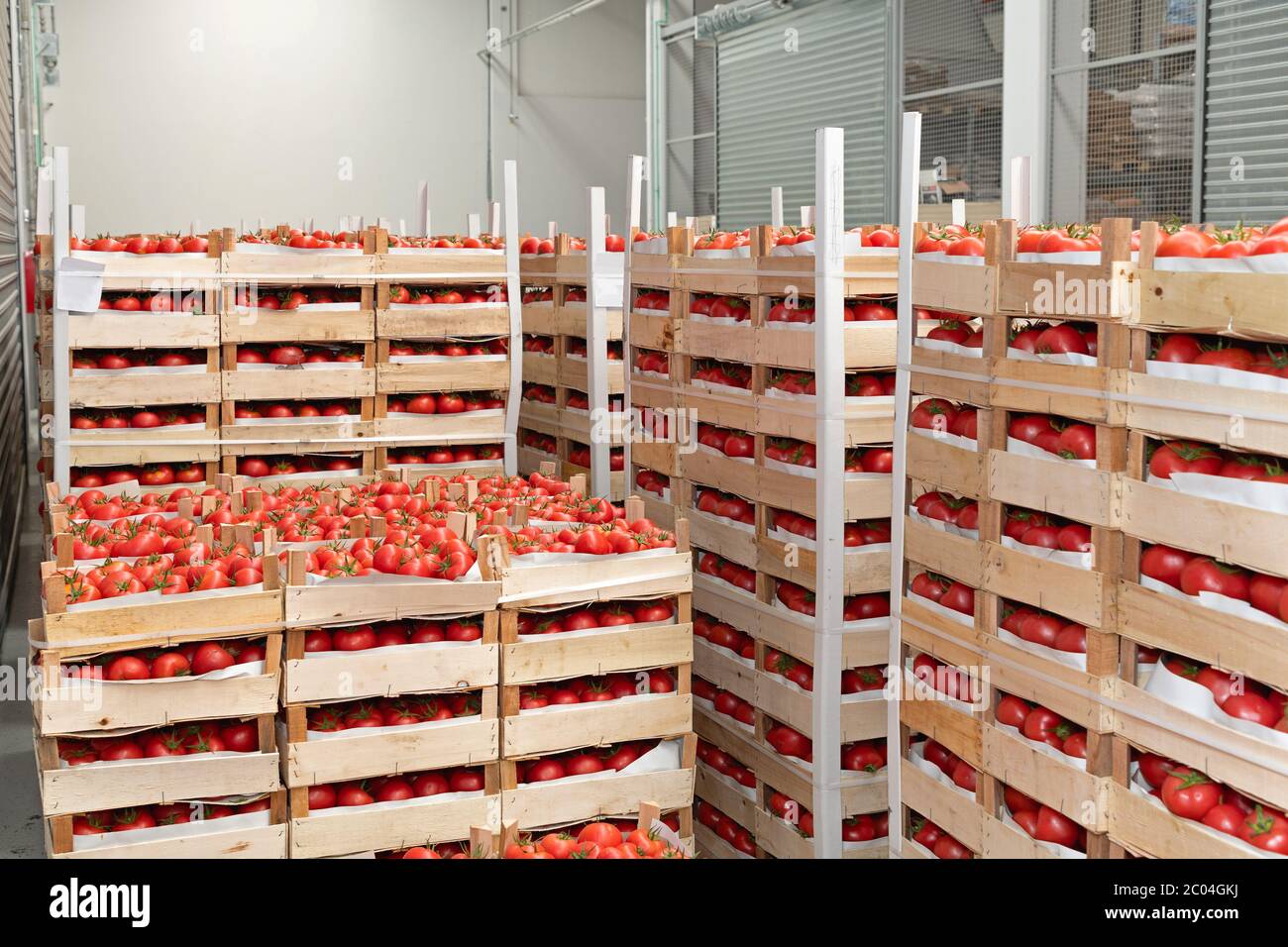 Crates of Red Tomatoes in Warehouse Storage Stock Photo - Alamy