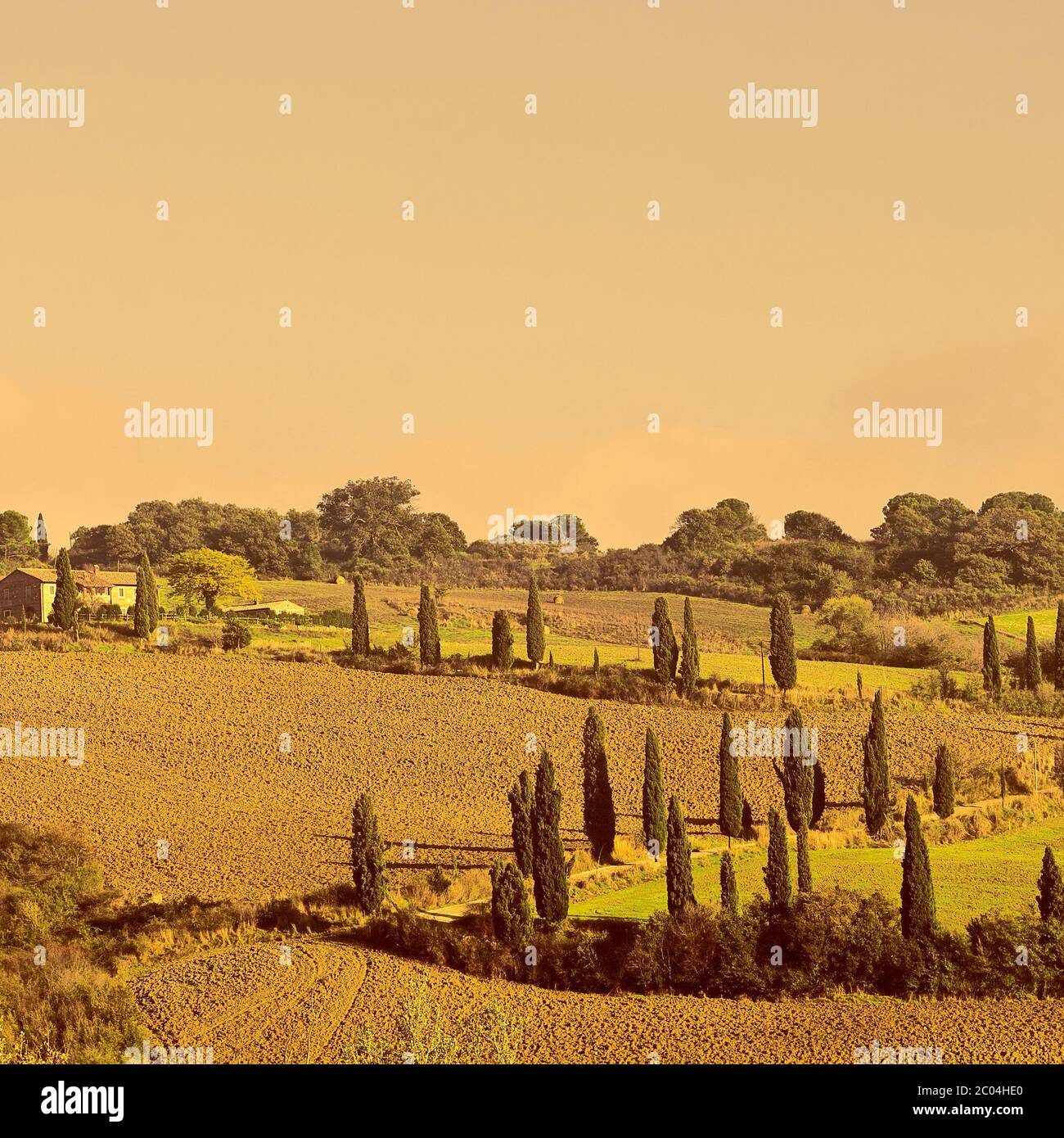 Italian cypresses hi-res stock photography and images - Alamy