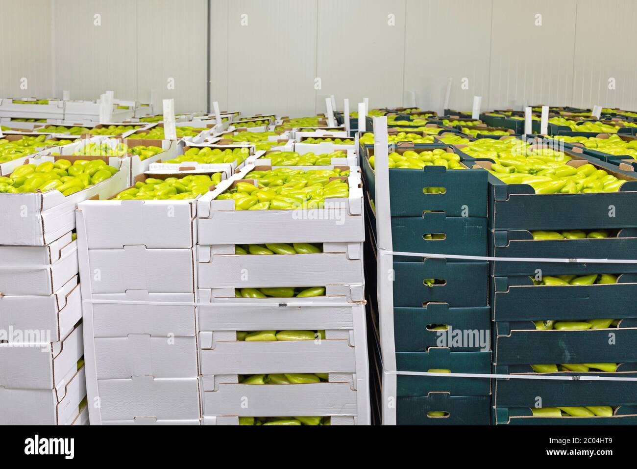 Green Peppers in Boxes Storage Warehouse Stock Photo - Alamy